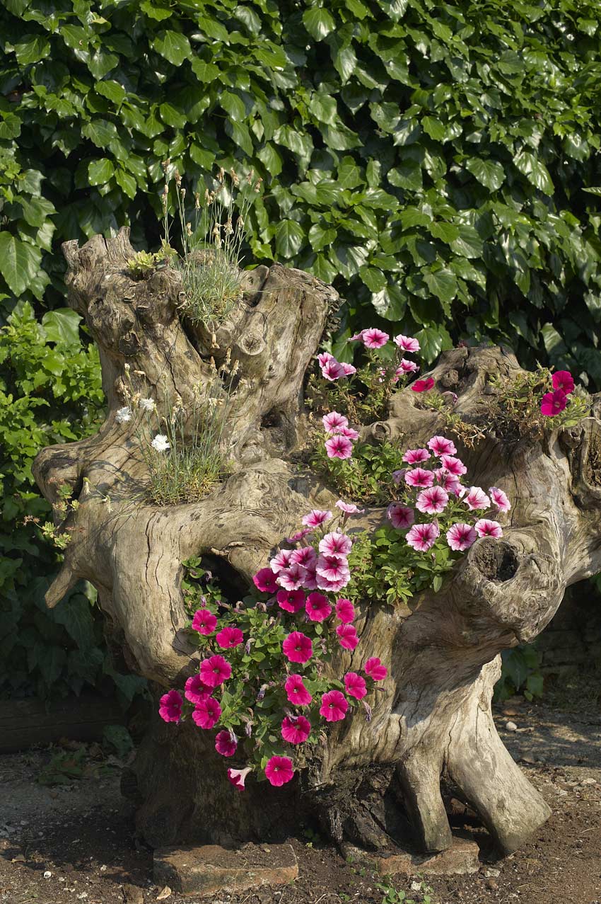 27 Fantastic DIY ideas to transform a tree trunk into a beautiful ...