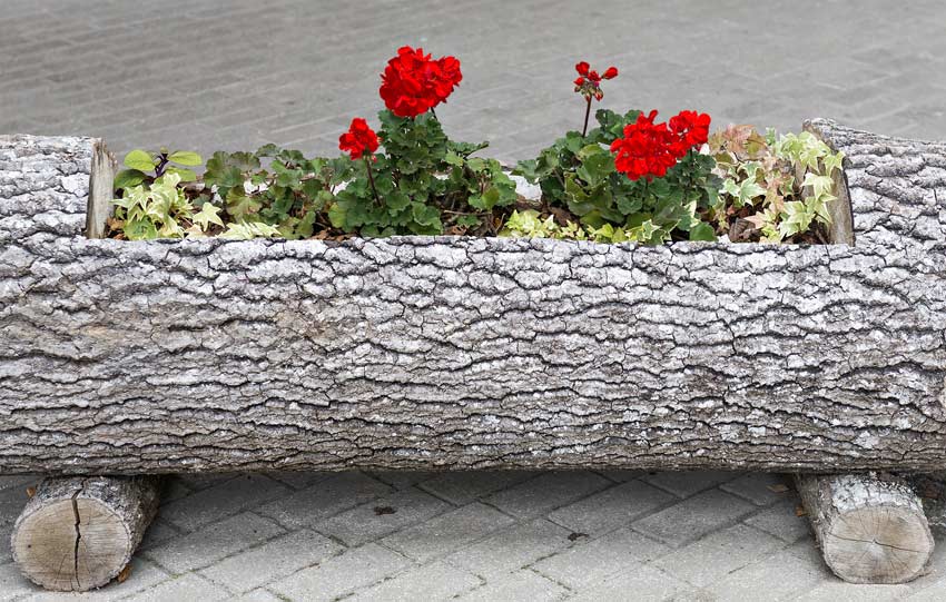 27 Fantastic DIY ideas to transform a tree trunk into a beautiful ...