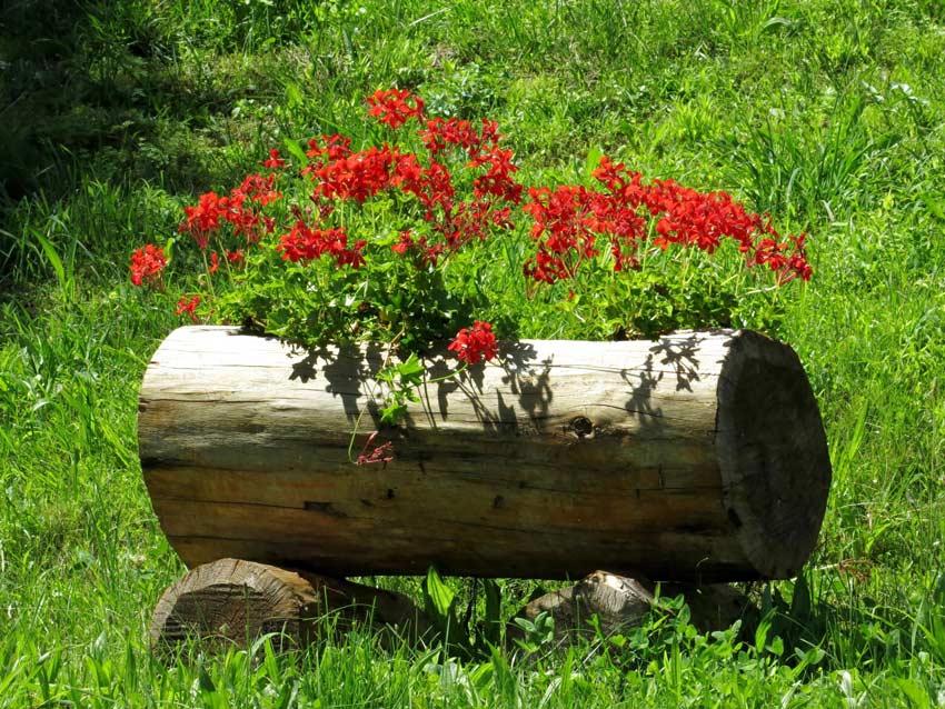 27 Fantastic DIY ideas to transform a tree trunk into a beautiful ...