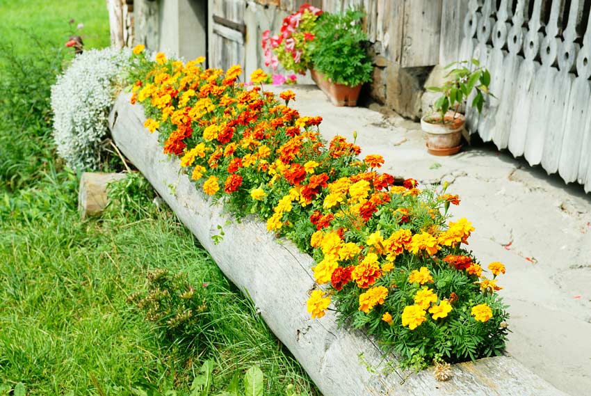 27 Fantastic DIY ideas to transform a tree trunk into a beautiful ...