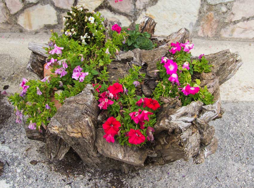 27 Fantastic DIY ideas to transform a tree trunk into a beautiful ...