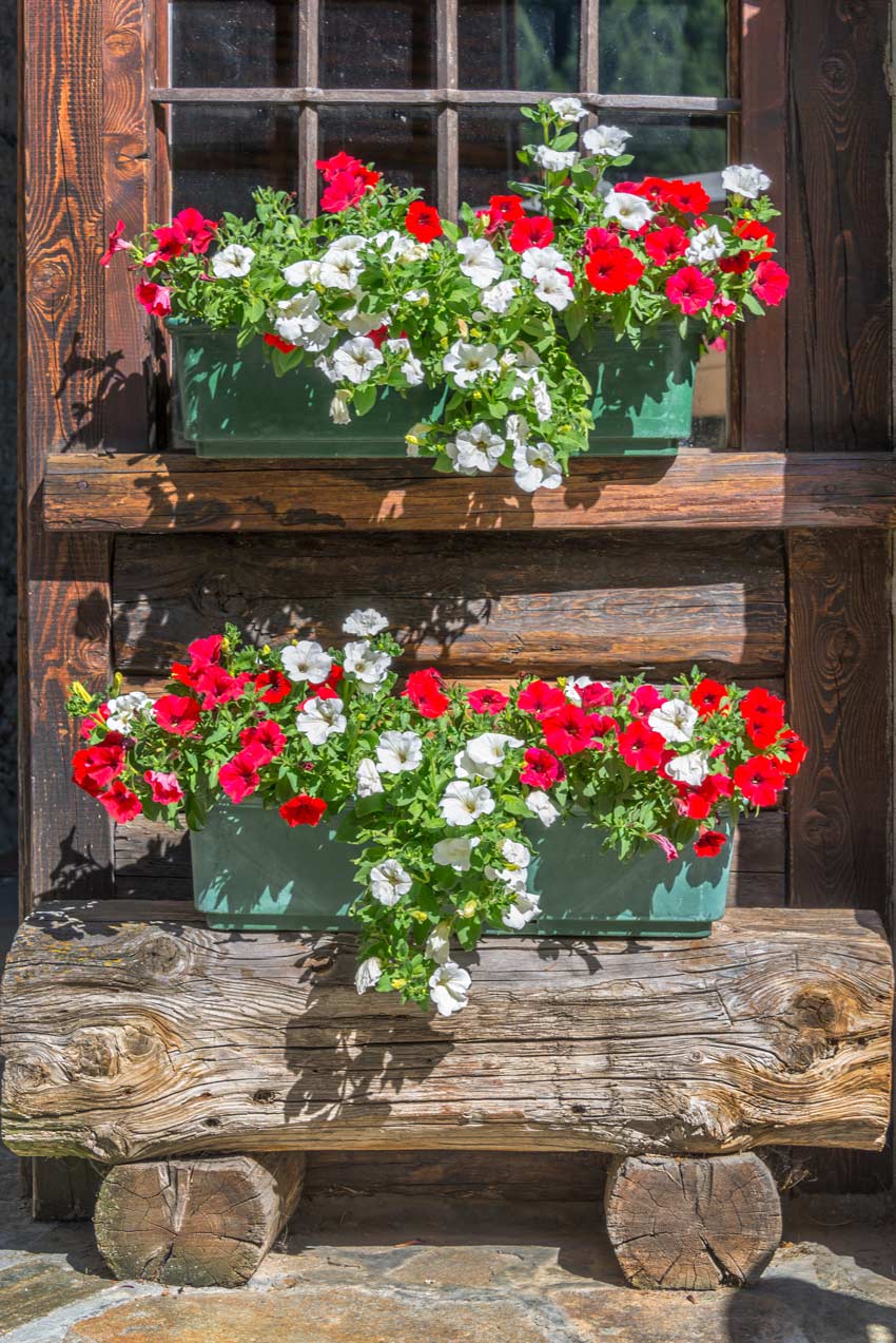 27 Fantastic DIY ideas to transform a tree trunk into a beautiful ...