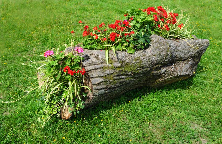 27 Fantastic DIY ideas to transform a tree trunk into a beautiful ...