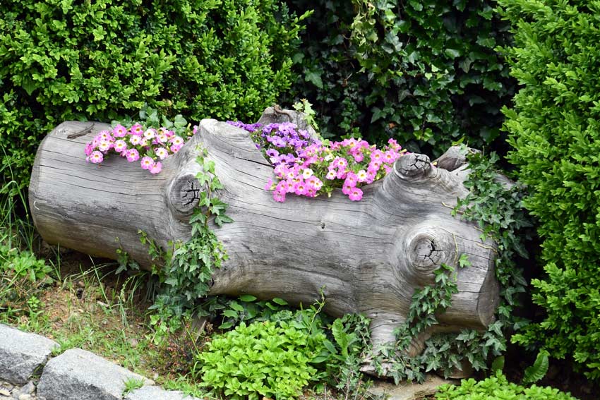 27 Fantastic DIY ideas to transform a tree trunk into a beautiful ...