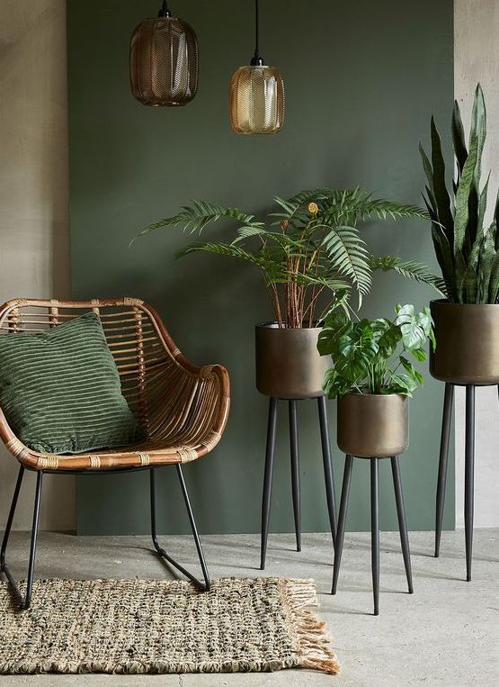 Amazing ideas for interior decoration in olive green | My desired home