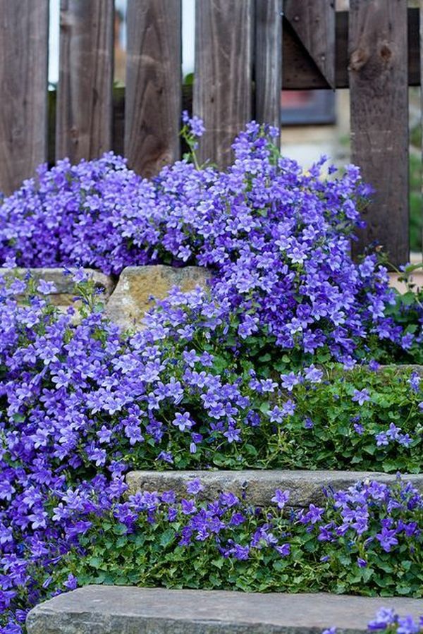 22 Fantastic garden decorations for those who love the purple color ...