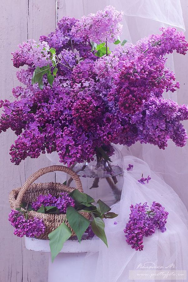 22 Fantastic garden decorations for those who love the purple color ...