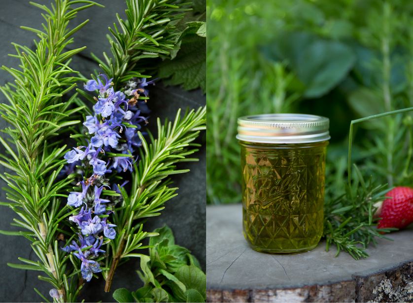 7 secrets for planting and cultivating rosemary in pots and your garden ...