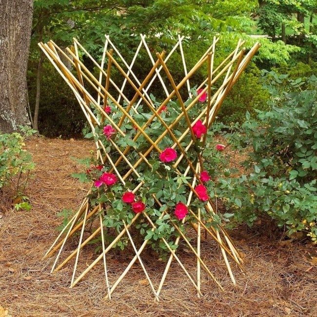 Genuine DIY supports for flowers that will boost your yard or garden ...
