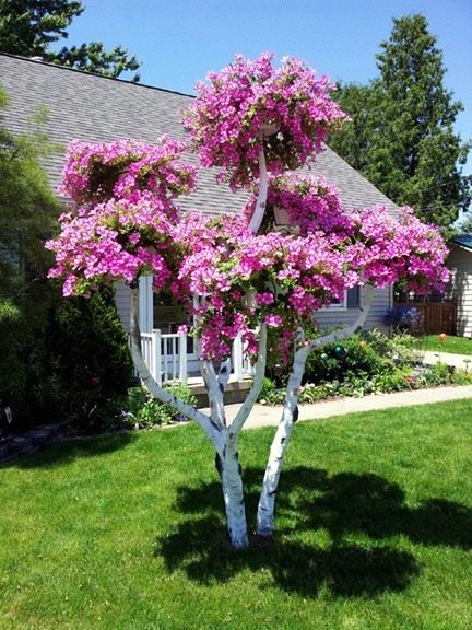 Not just petunia, but a whole tree - Beautiful design ideas for your ...