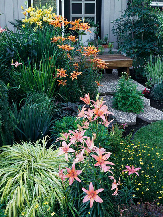 Beautiful and undemanding garden design ideas with daylilies | My ...