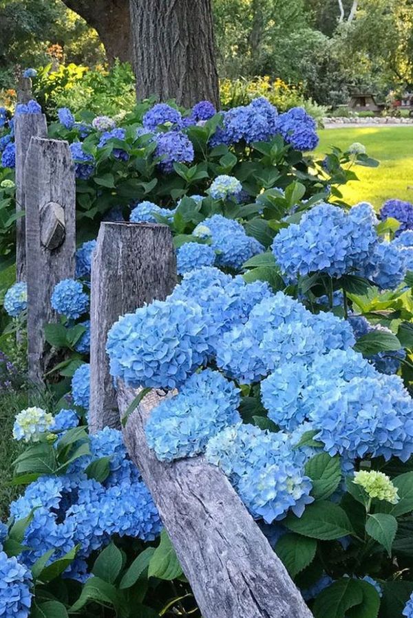 Enjoyable garden decorating ideas in shades of blue | My desired home