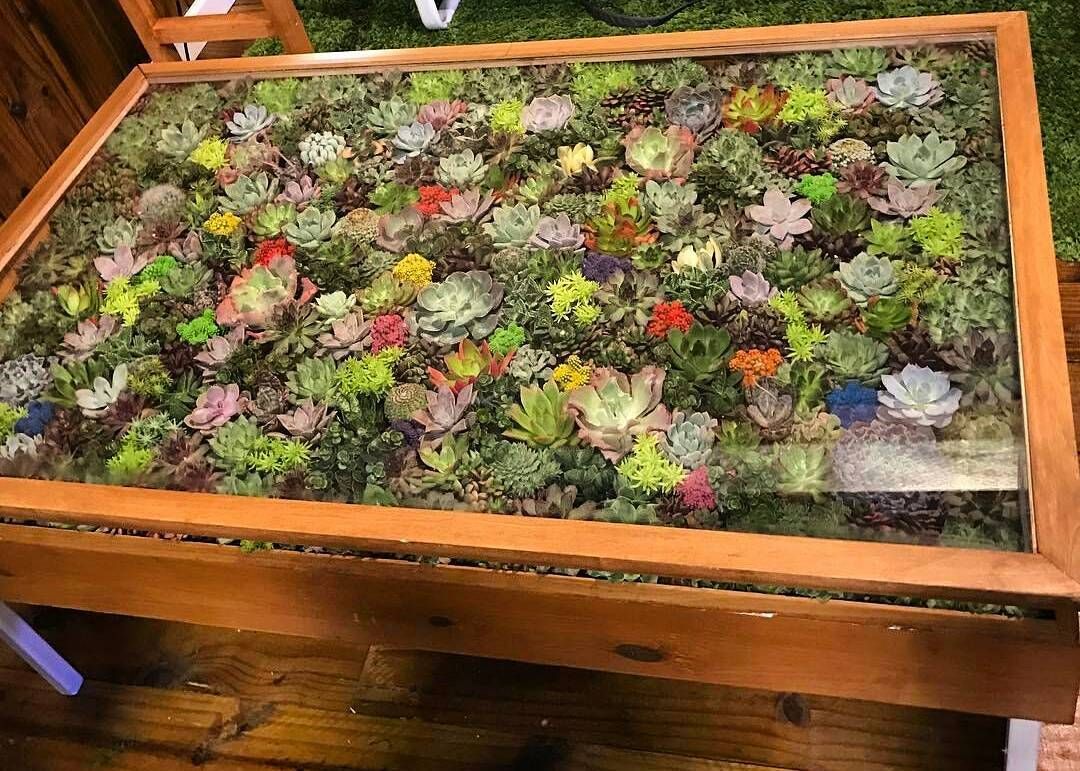 How to make DIY glass tables in stunning huge gardens made of ...