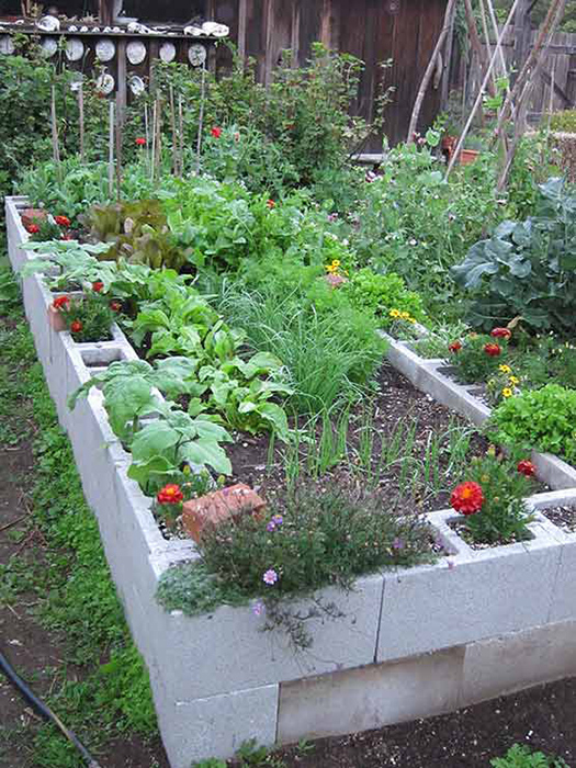 Practical and useful DIY vegetable gardens from building blocks | My ...