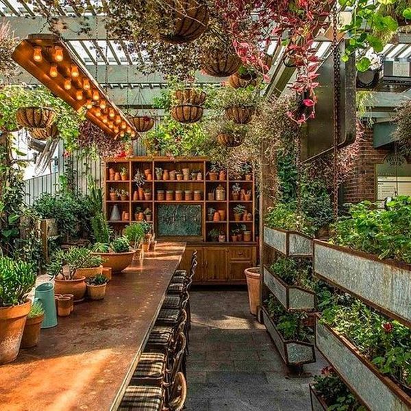 Greenhouses built to take care of plants in any season | My desired home