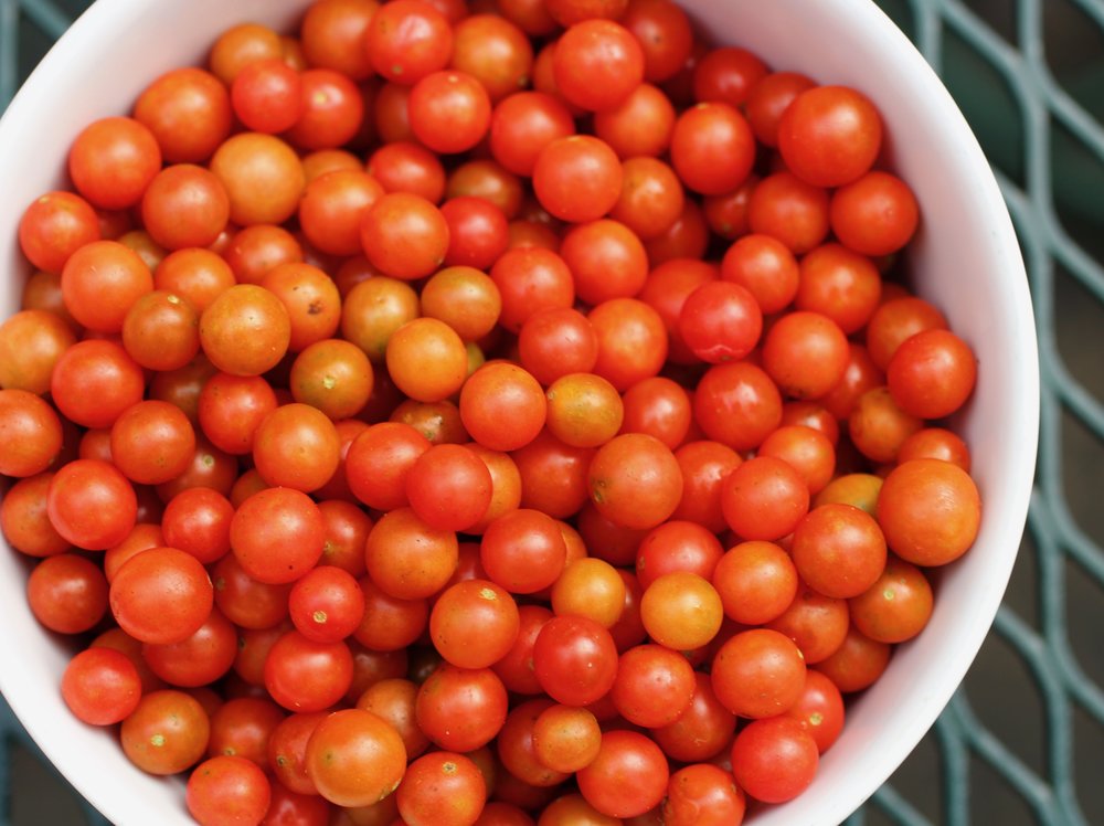 Sweet Pea - The tiniest tomatoes you've ever seen in your pot or garden ...