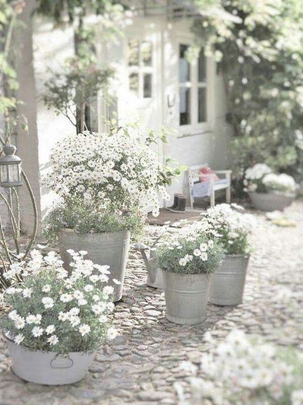 Home and garden decor with white flowers - The meaning of color and ...