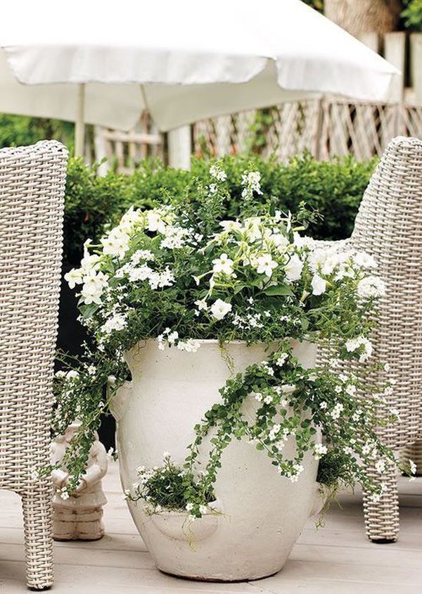 Home and garden decor with white flowers - The meaning of color and ...