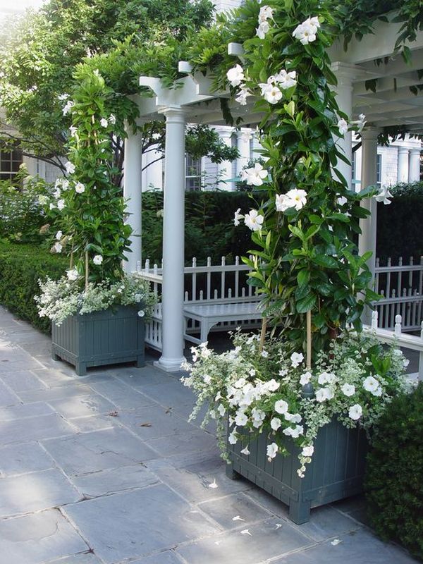 Home and garden decor with white flowers - The meaning of color and ...
