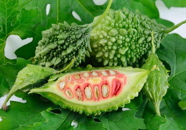 Bitter cucumber - the exotic superfood with health-promoting effects in ...