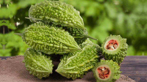 Bitter cucumber - the exotic superfood with health-promoting effects in ...