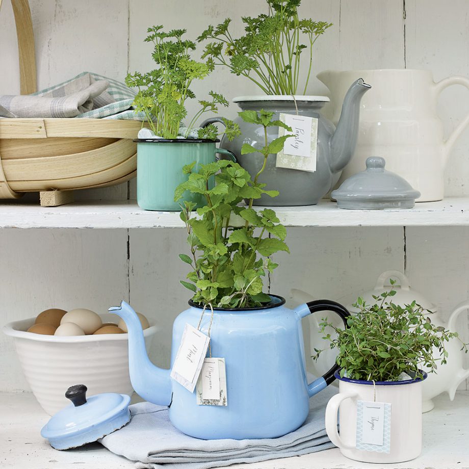 22 Unique DIY pots from old teapots that you can make by yourself | My ...