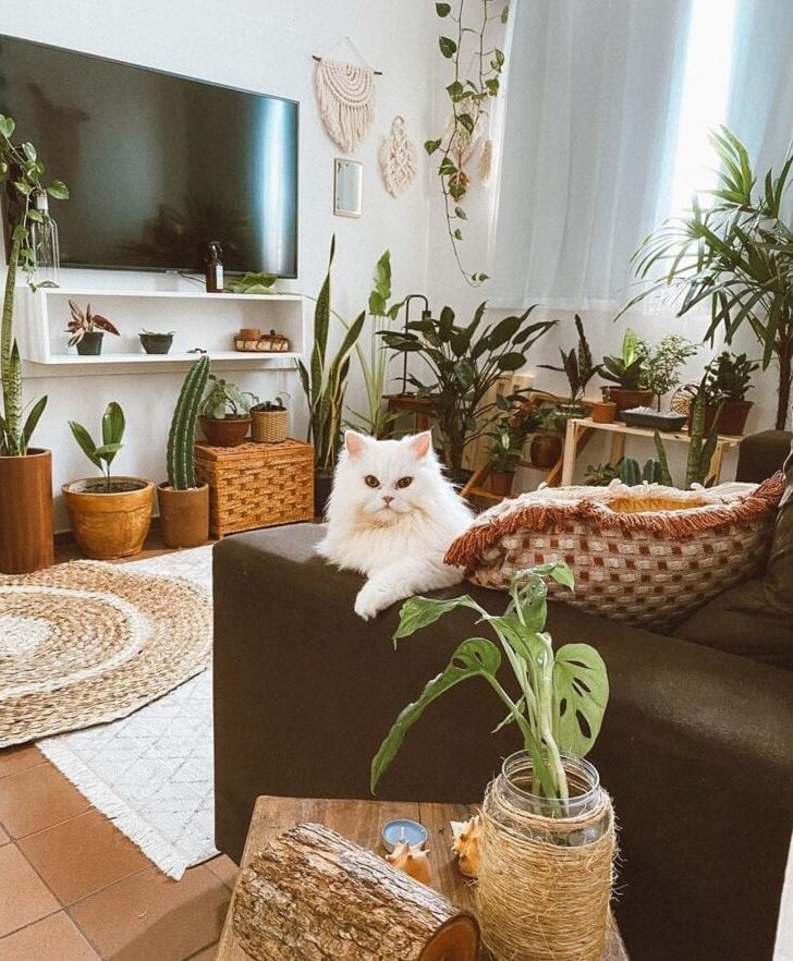 26 Inspirational ideas for a round rug in the decoration of your living ...