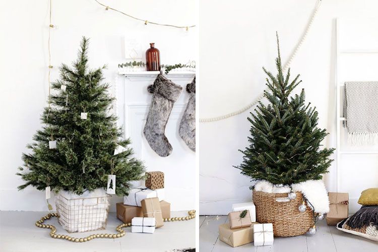 DIY Tabletop fir trees ideas for an amazing Christmas decoration | My ...