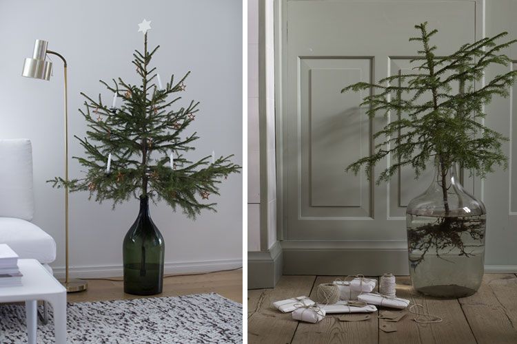 DIY Tabletop fir trees ideas for an amazing Christmas decoration | My ...