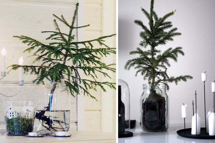 DIY Tabletop fir trees ideas for an amazing Christmas decoration | My ...