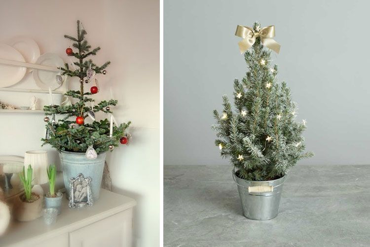 DIY Tabletop fir trees ideas for an amazing Christmas decoration | My ...
