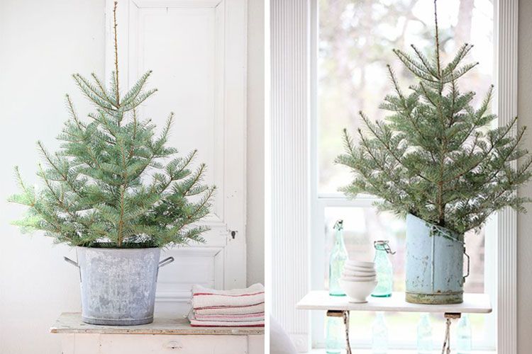 DIY Tabletop fir trees ideas for an amazing Christmas decoration | My ...