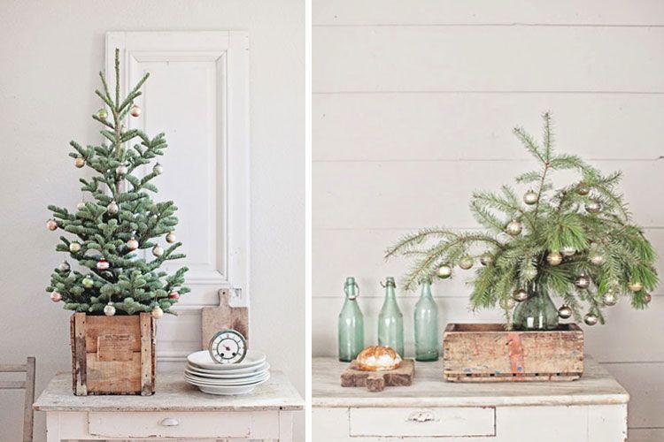 DIY Tabletop fir trees ideas for an amazing Christmas decoration | My ...