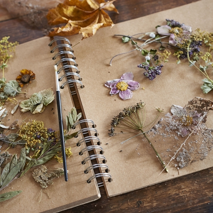 DIY Wreaths and other amazing creations from dried flowers | My desired ...
