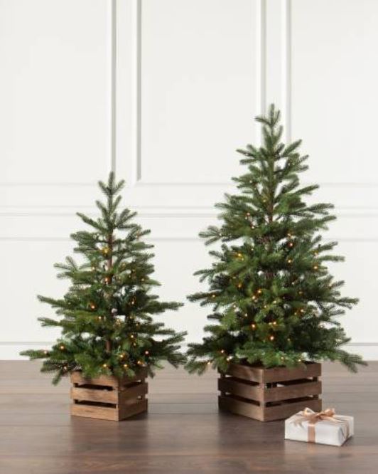 Tiny Christmas trees are back and are big trend | My desired home