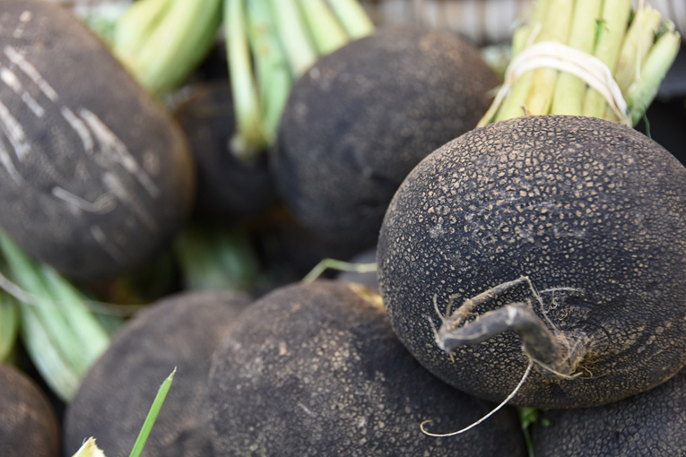 Black radish, and how to grow it in your garden | My desired home