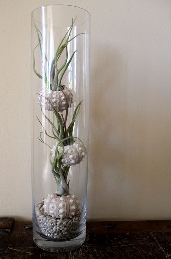 How to turn an ordinary glass vase into an amazing decoration | My ...