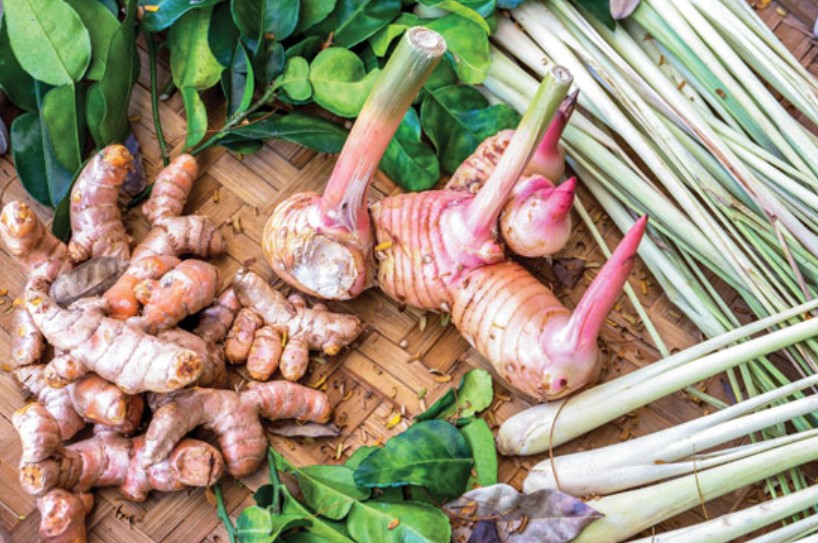 Secrets planting ginger in pot and your garden for endless supplies at ...