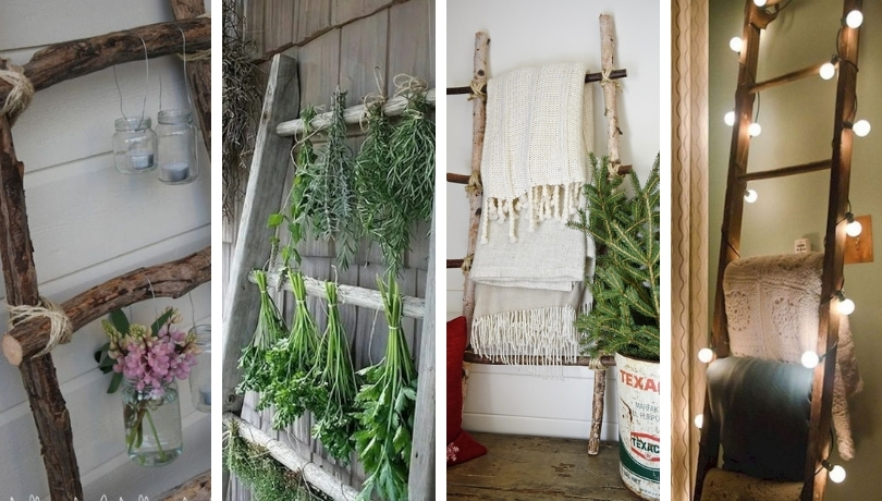 25+ Great uses for an ordinary ladder at home: Get inspired! | My ...