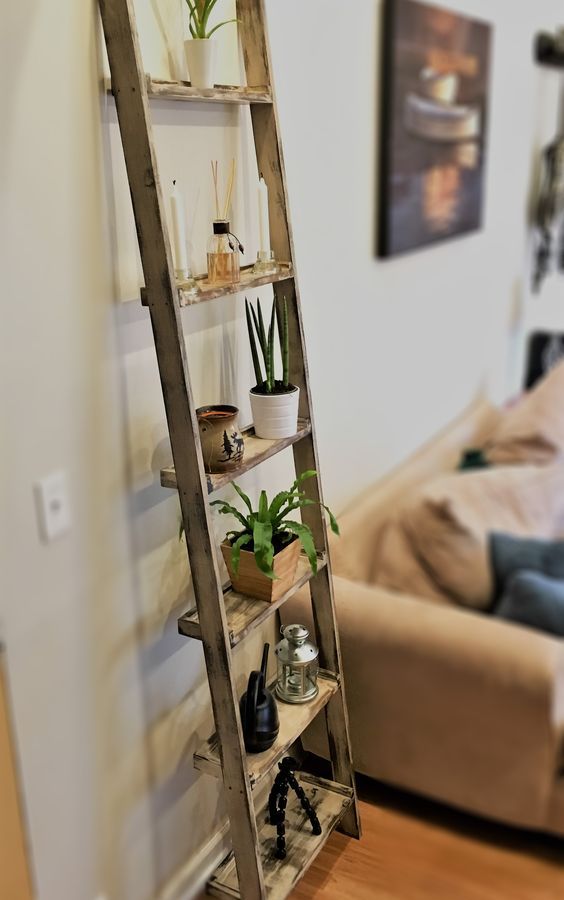 25+ Great uses for an ordinary ladder at home: Get inspired! | My ...