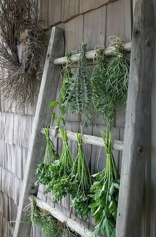 25+ Great uses for an ordinary ladder at home: Get inspired! | My ...