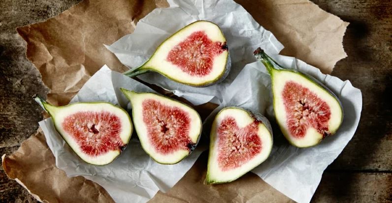 Planting and caring a fig tree in your garden: great idea for a green ...