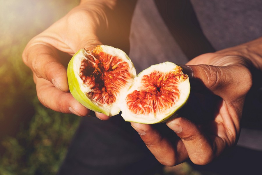 Planting and caring a fig tree in your garden: great idea for a green ...