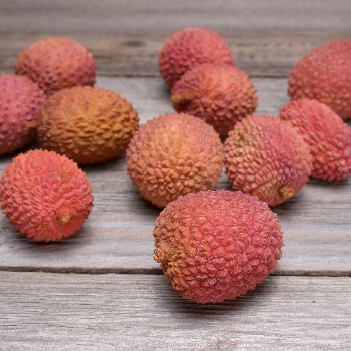 How to grow the lychee tree in a pot or your garden | My desired home