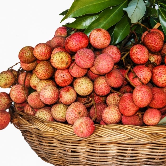 How to grow the lychee tree in a pot or your garden | My desired home