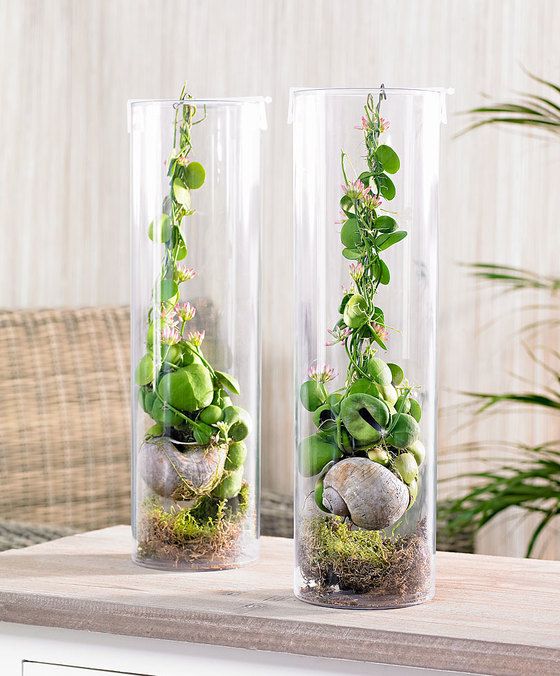 25 Amazing DIY spring ideas with glass jars and vases | My desired home