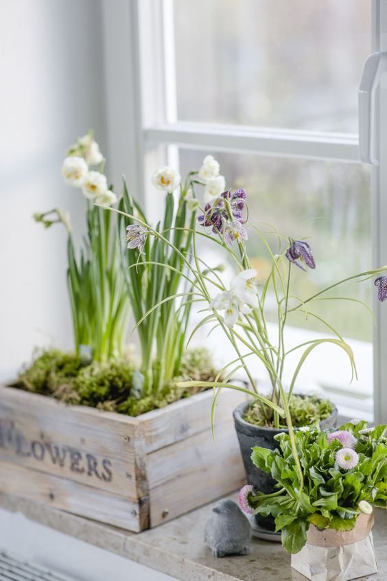 25+ Beautiful spring decoration ideas for your windowsill | My desired home