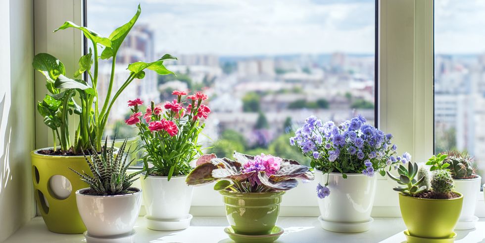25+ Beautiful spring decoration ideas for your windowsill | My desired home