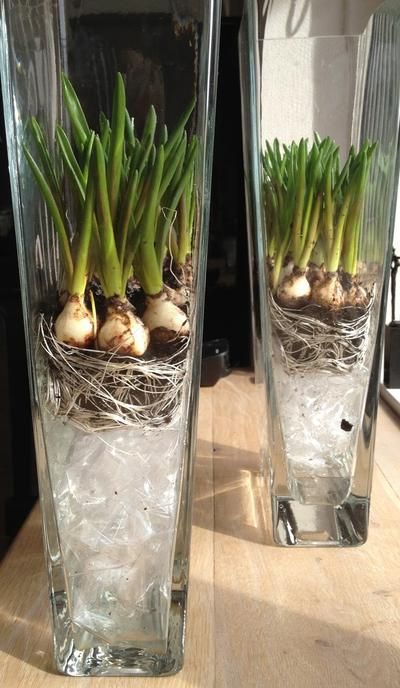 Beautiful spring decorations for your home with glass jars and vases ...