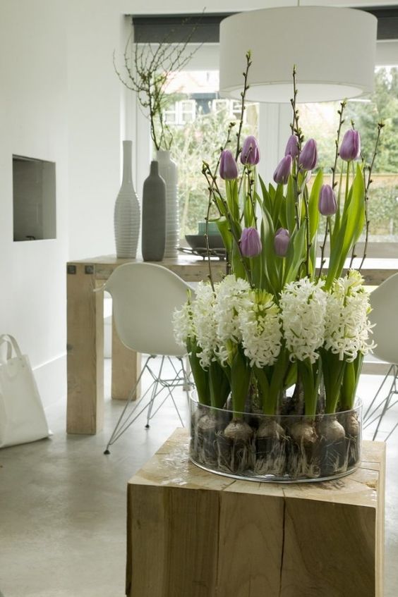 Create a fashionable spring atmosphere with flower bulb decorations in ...